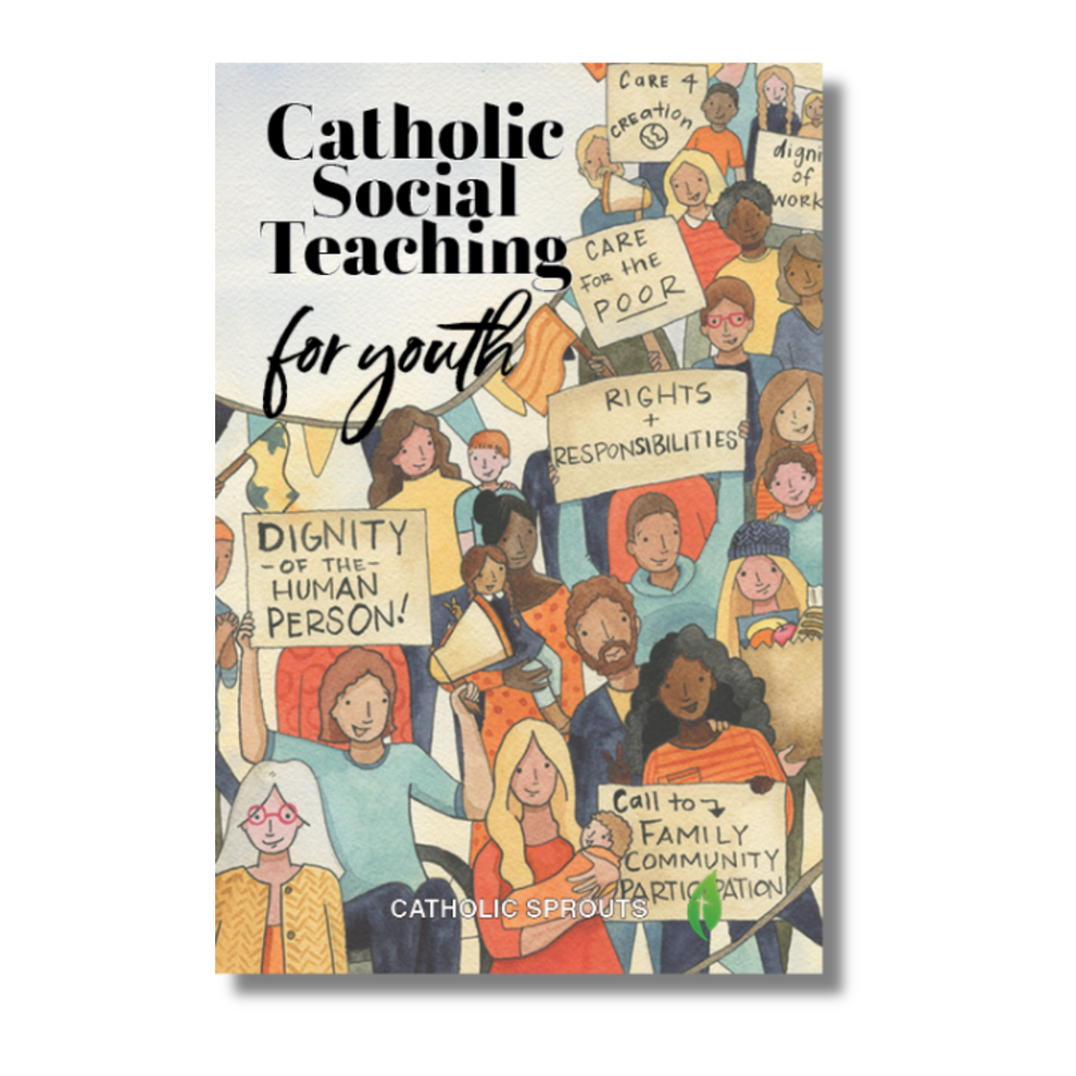Catholic Social Teaching for Youth – Catholic Sprouts