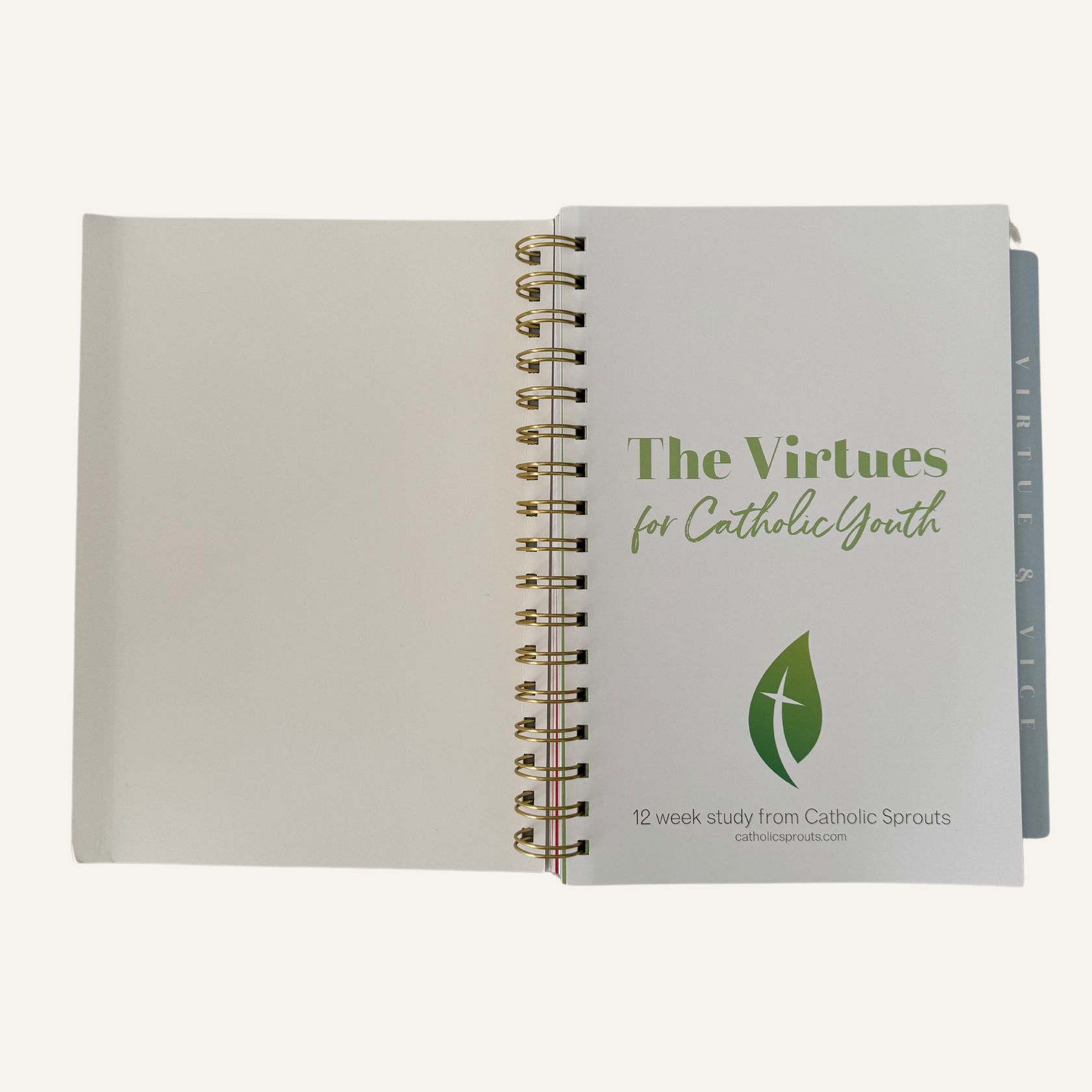 The Virtues for Catholic Youth – Catholic Sprouts