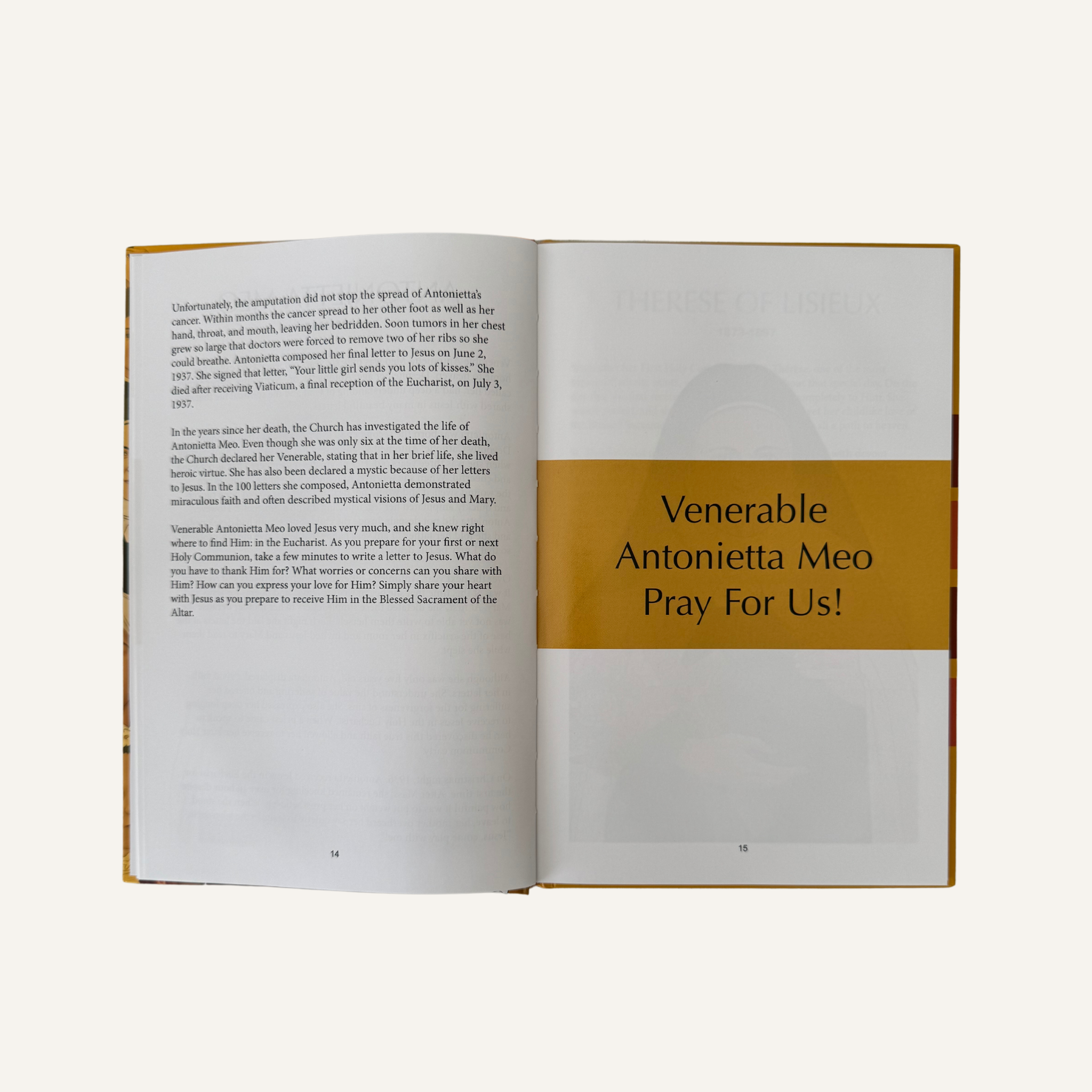 Stories of Holy Communions – Catholic Sprouts