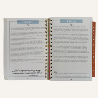 The Virtues for Catholic Youth – Catholic Sprouts