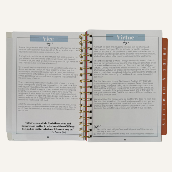 The Virtues for Catholic Youth – Catholic Sprouts