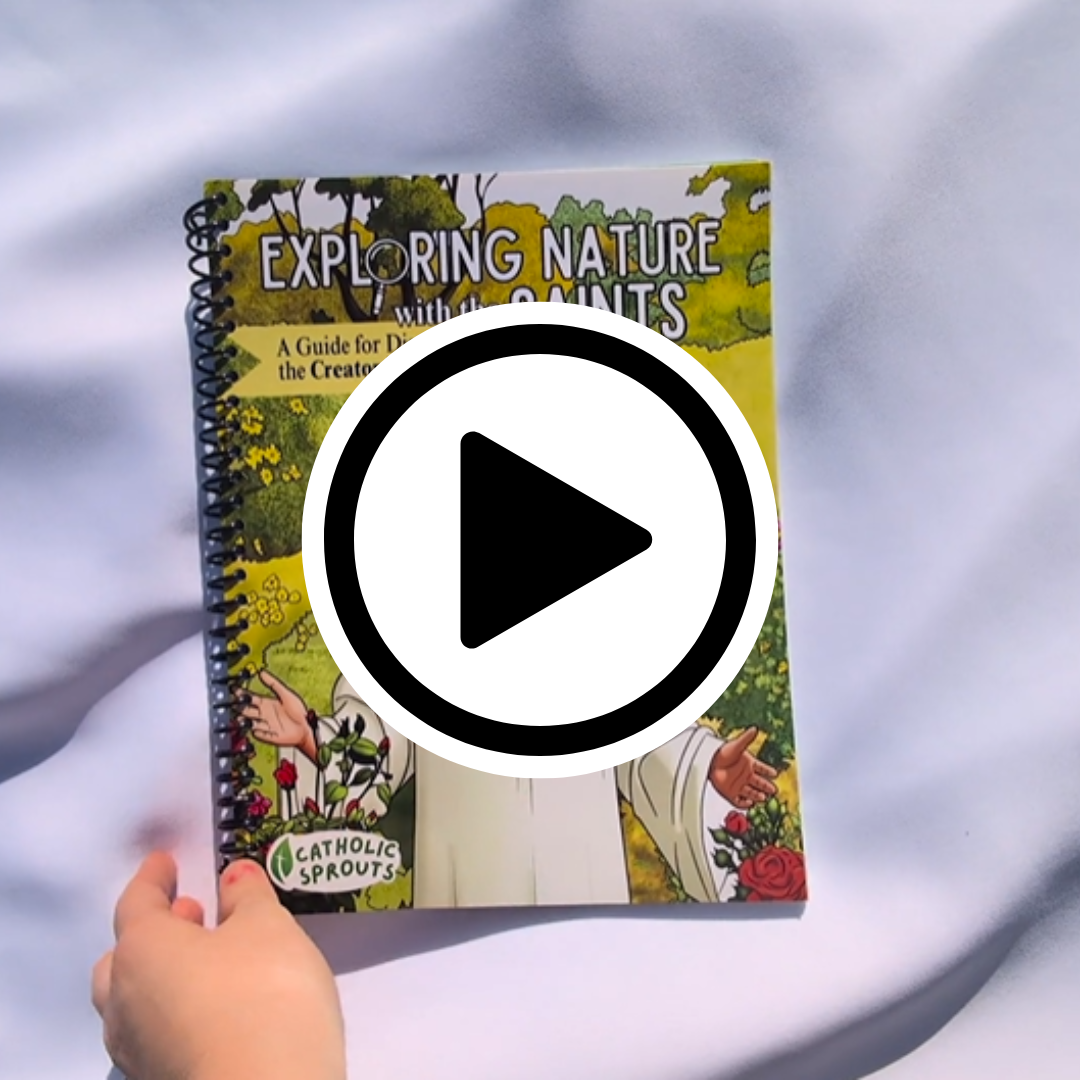 Exploring Nature with the Saints – Catholic Sprouts